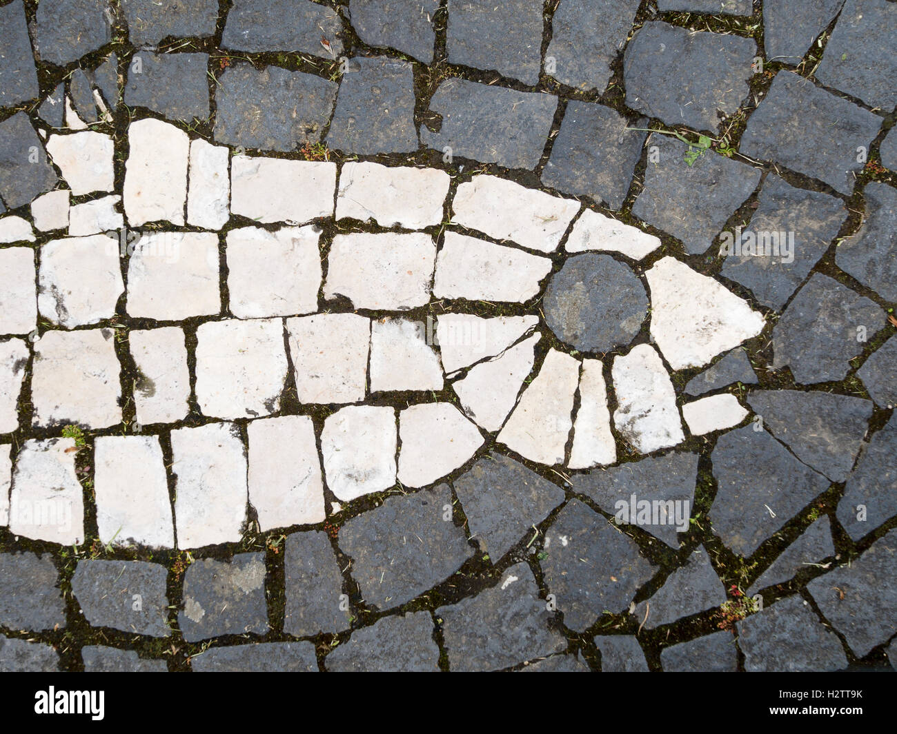 Sidewalk Fish. An image of a big eyed fish is formed from white pavings ...