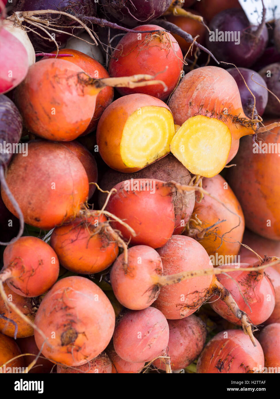 Yellow Beets