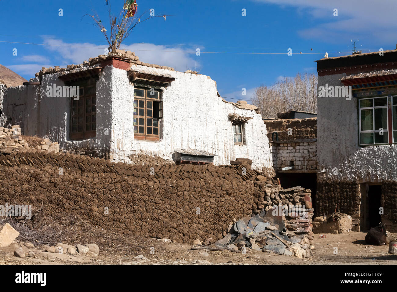 Dung bricks hi-res stock photography and images - Alamy