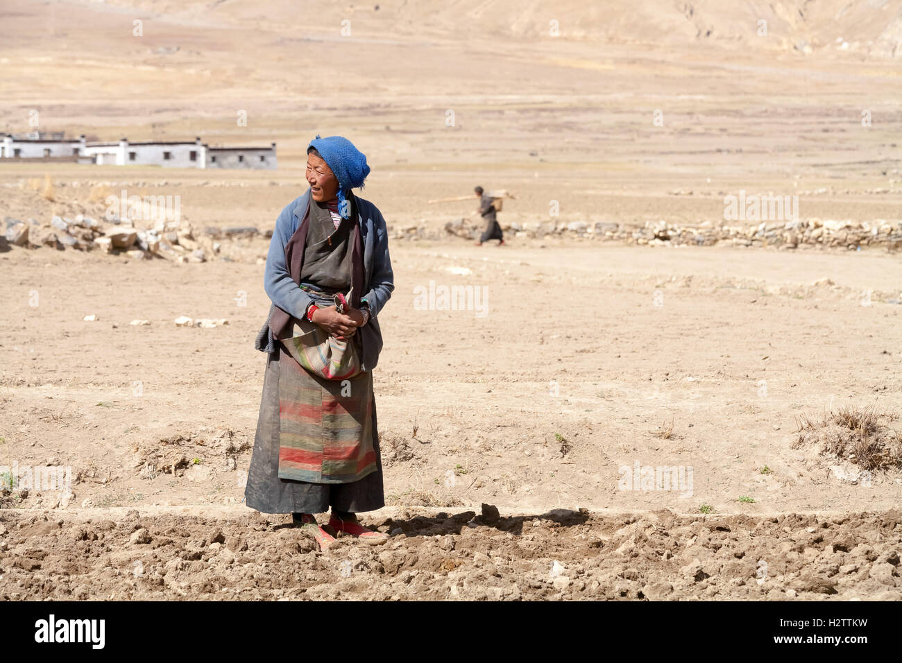 Tibetan farm plow hi-res stock photography and images - Alamy