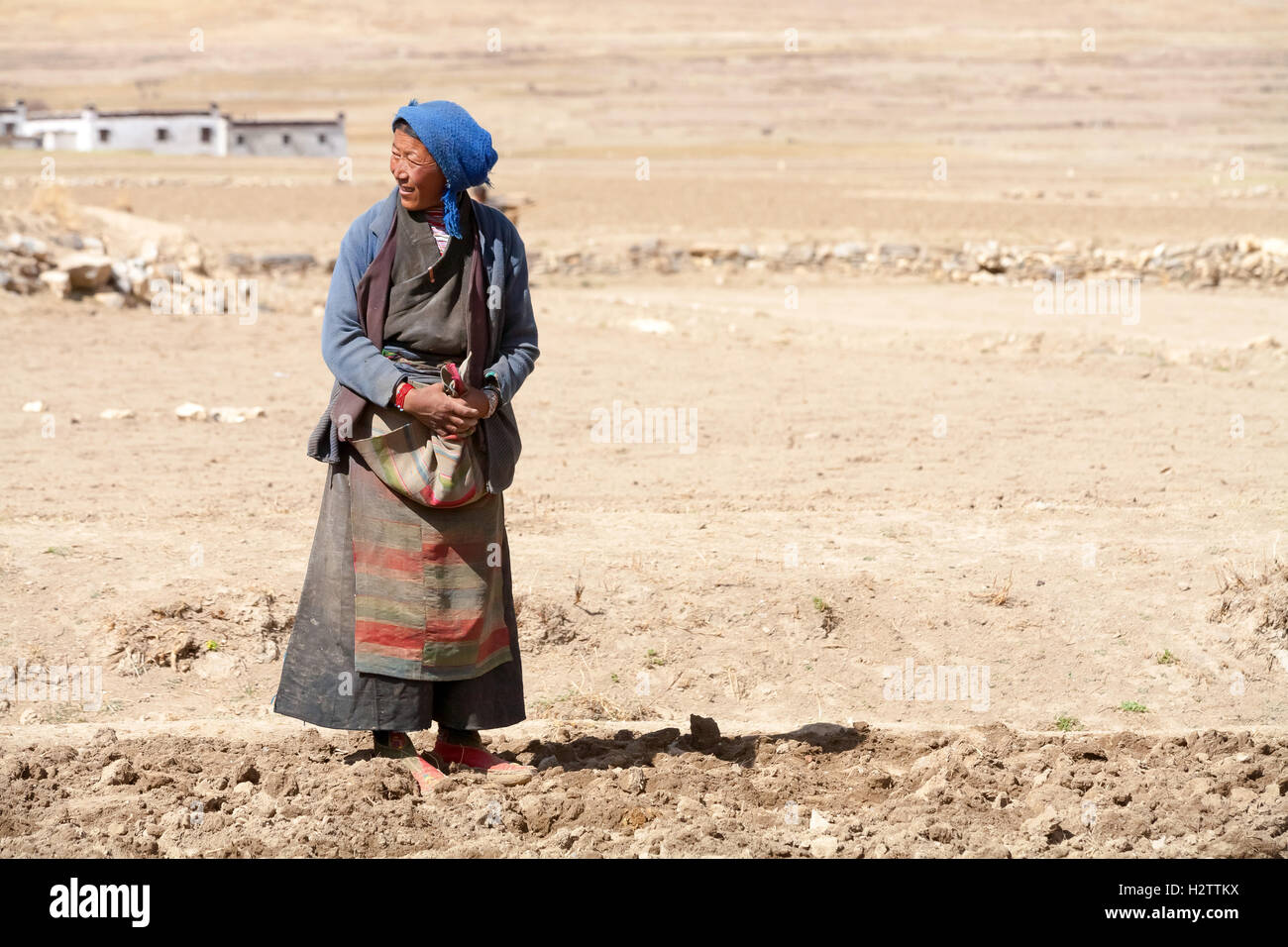 Tibetan farm plow hi-res stock photography and images - Alamy