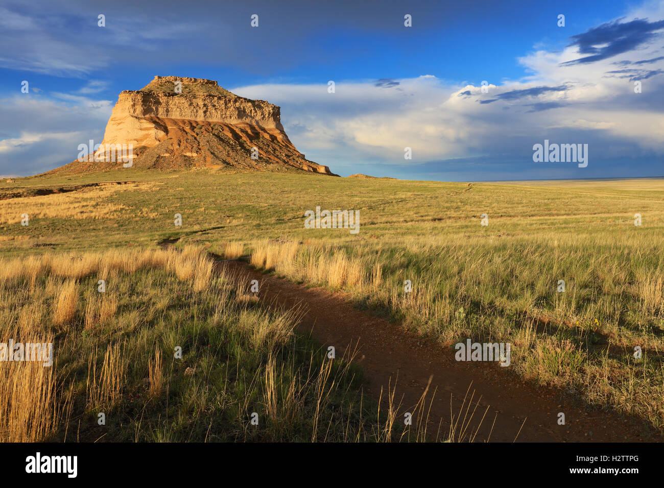 Peaceful hiking trail in evening sunlight along the prairie by the ...