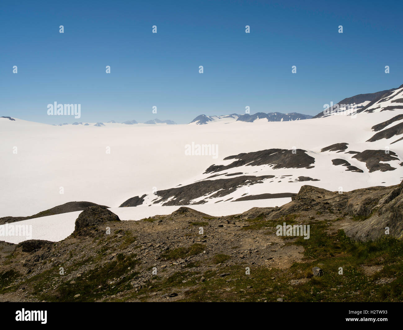 View of the Harding Icefield on a beautiful summer morning, Kenai ...