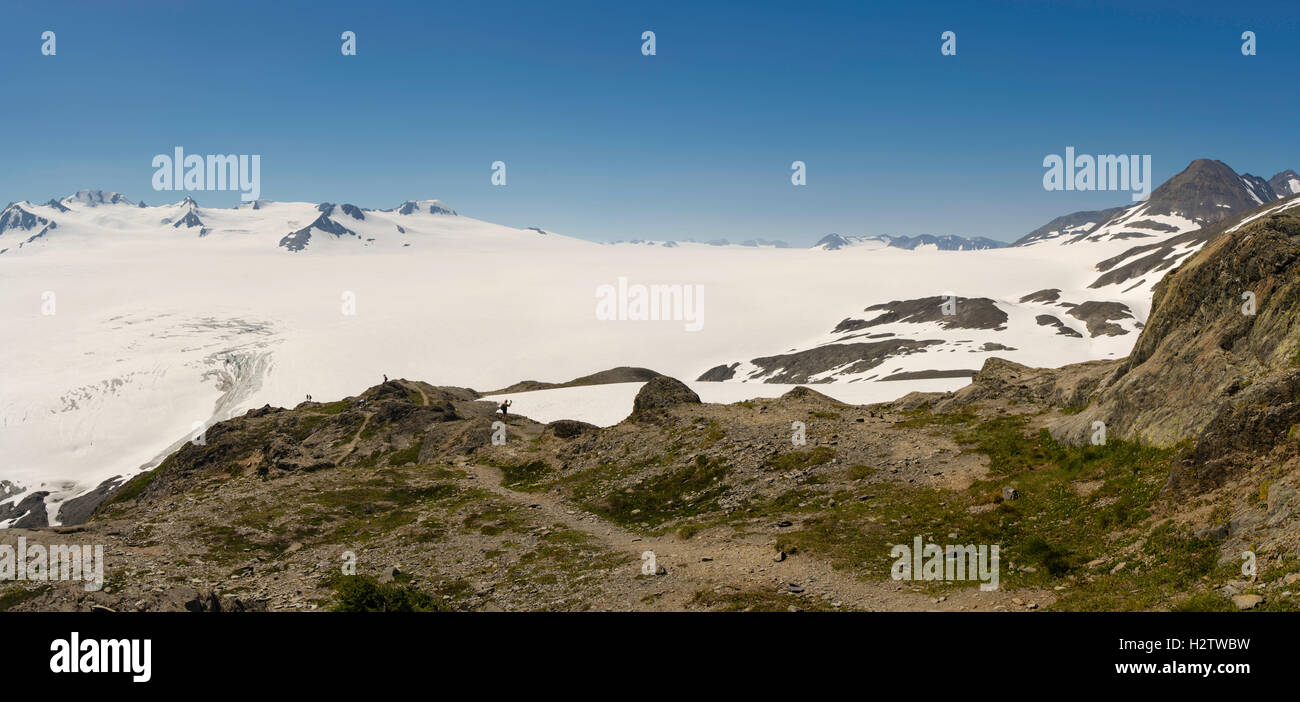 View of the Harding Icefield on a beautiful summer morning, Kenai ...