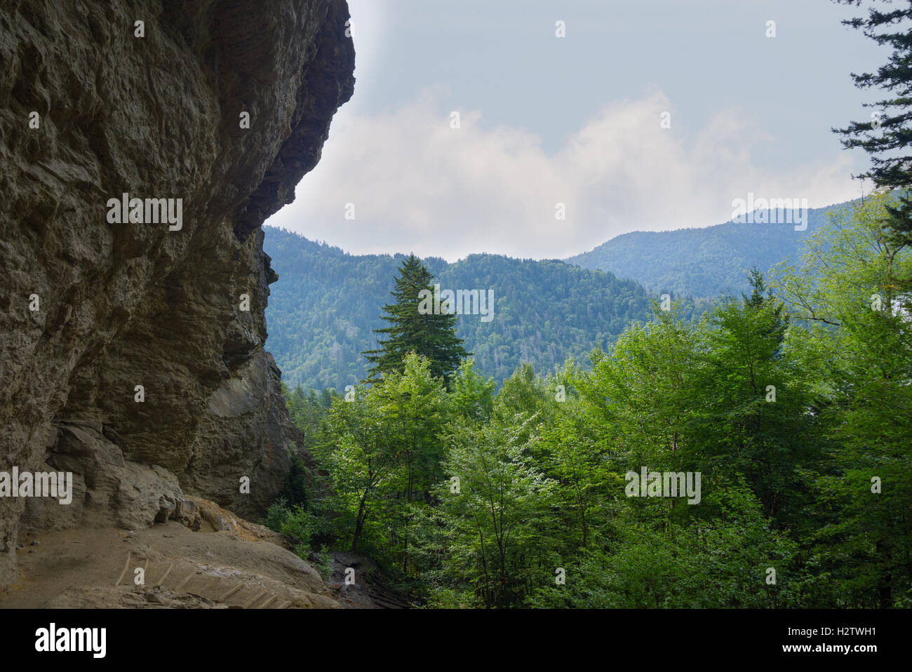 View of Alum Cave in the Great Smoky Mountains National Park Stock ...
