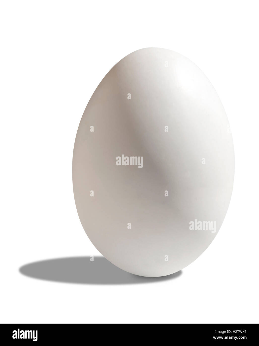 1 White Egg