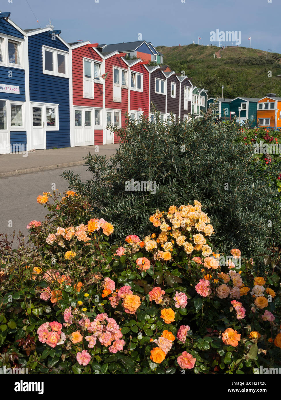 the island of helgoland in the north sea Stock Photo - Alamy