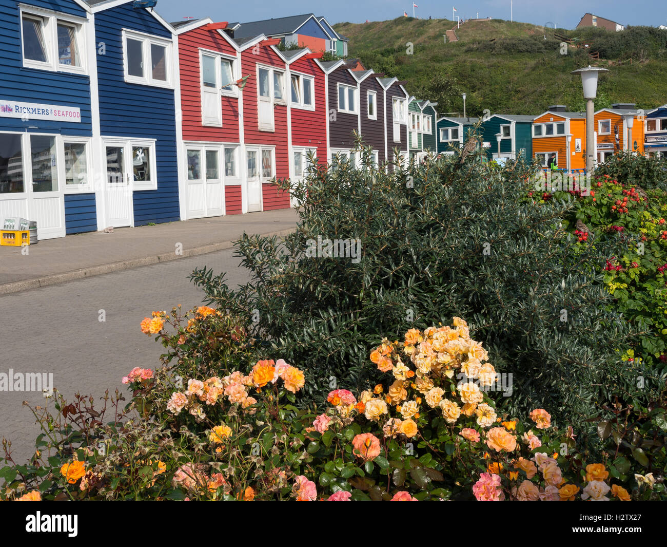 the island of helgoland in the north sea Stock Photo - Alamy