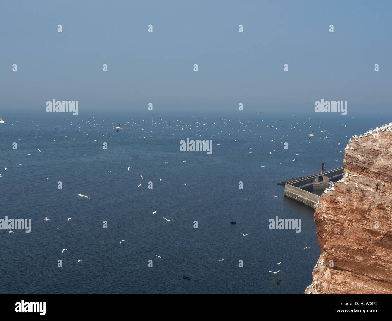 the island of helgoland in the north sea Stock Photo - Alamy