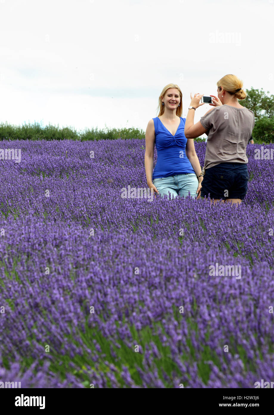 People take advantage of the sunny weekend weather by visiting Hitchin ...
