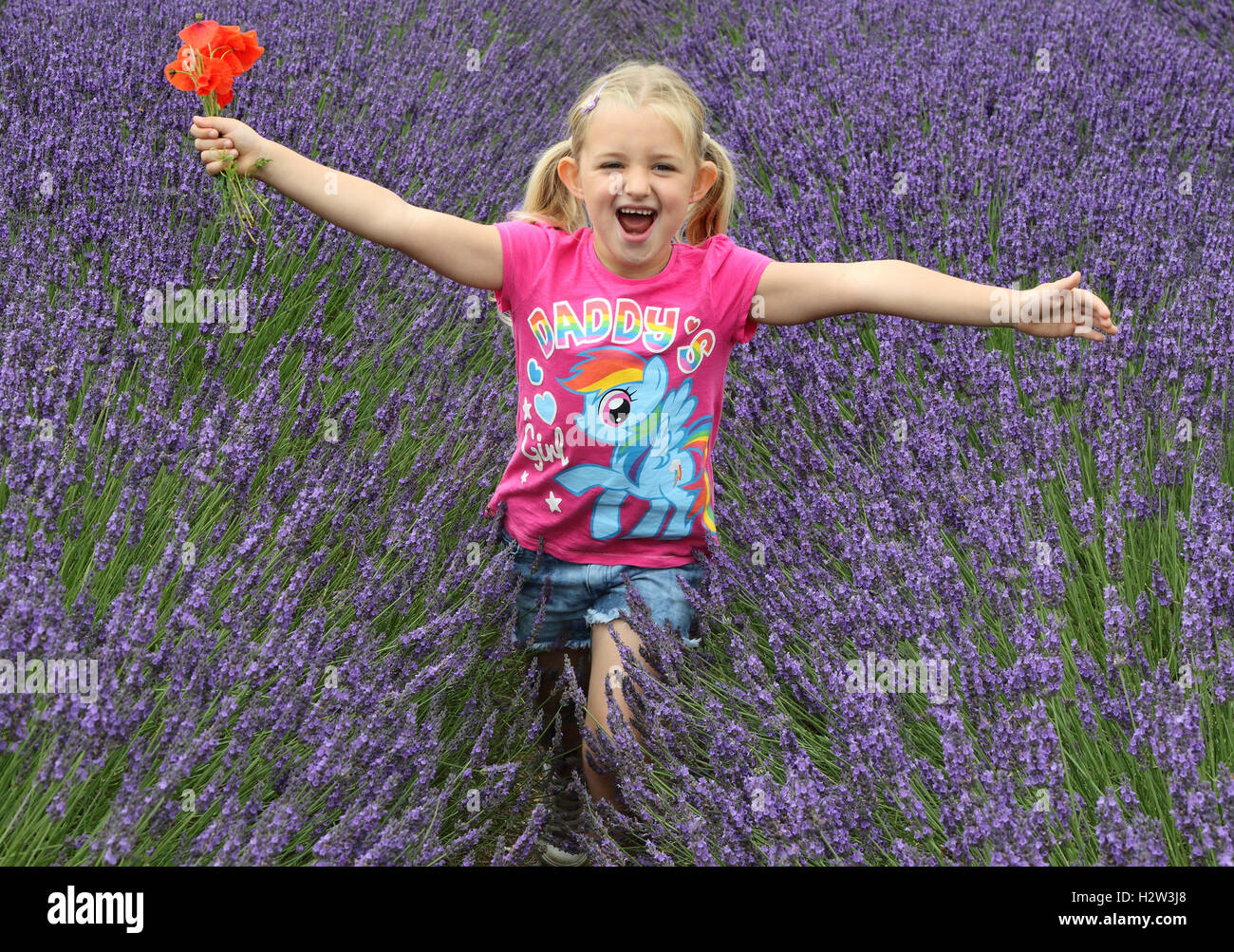 People take advantage of the sunny weekend weather by visiting Hitchin ...