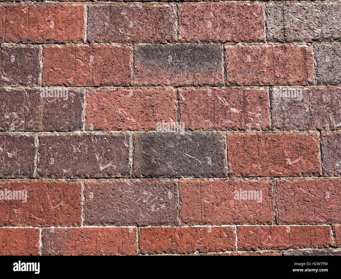Closeup texture hi-res stock photography and images - Alamy