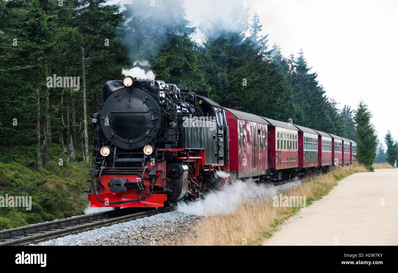 Narrow gauge steam engine from Brocken to Werningerode. The trains to ...