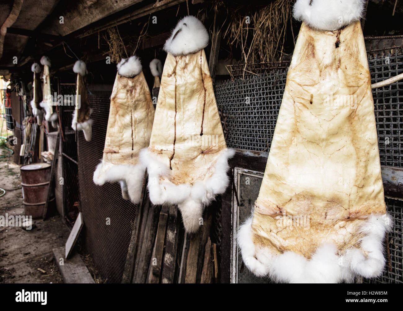 Fur coat hooks hi-res stock photography and images - Alamy