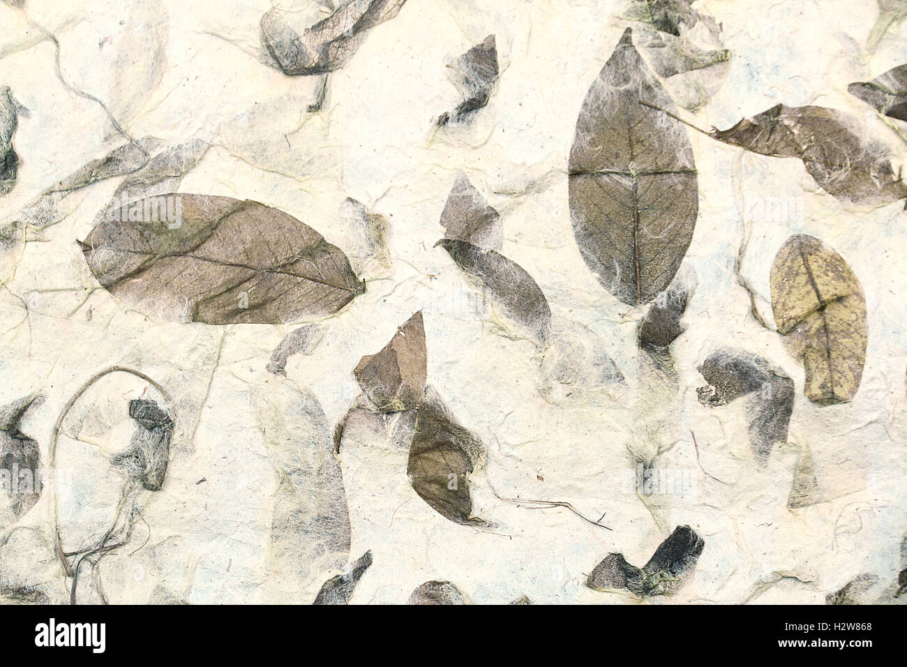 Old paper leaf texture brown hi-res stock photography and images - Alamy