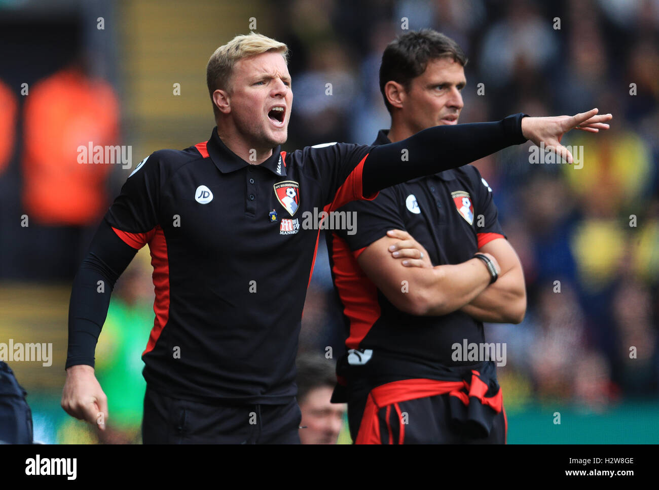 AFC Bournemouth manager Eddie Howe during the Premier League match at ...