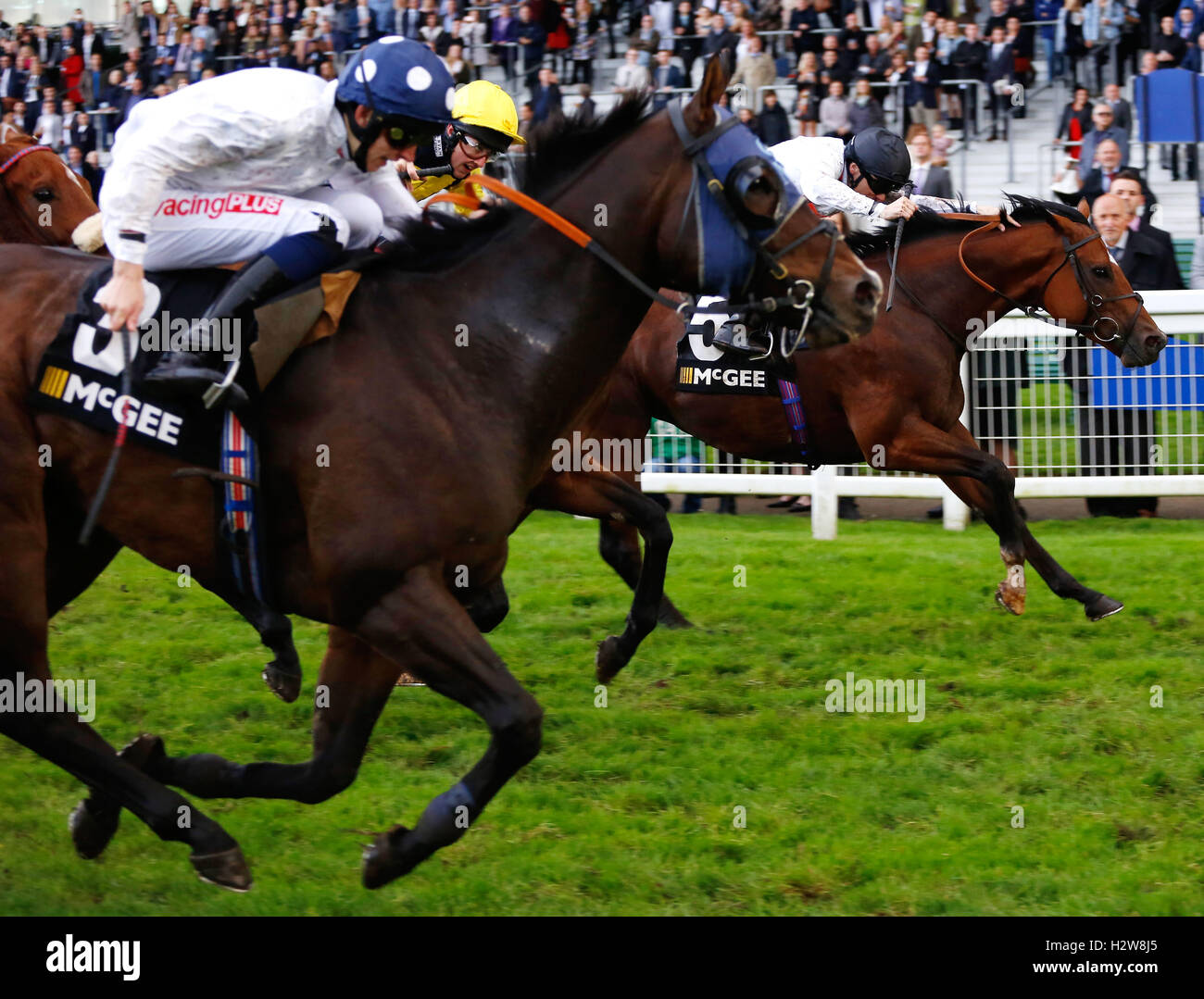 Shamshon ridden by Jamie Spencer (no. 5) leads the field home to win ...