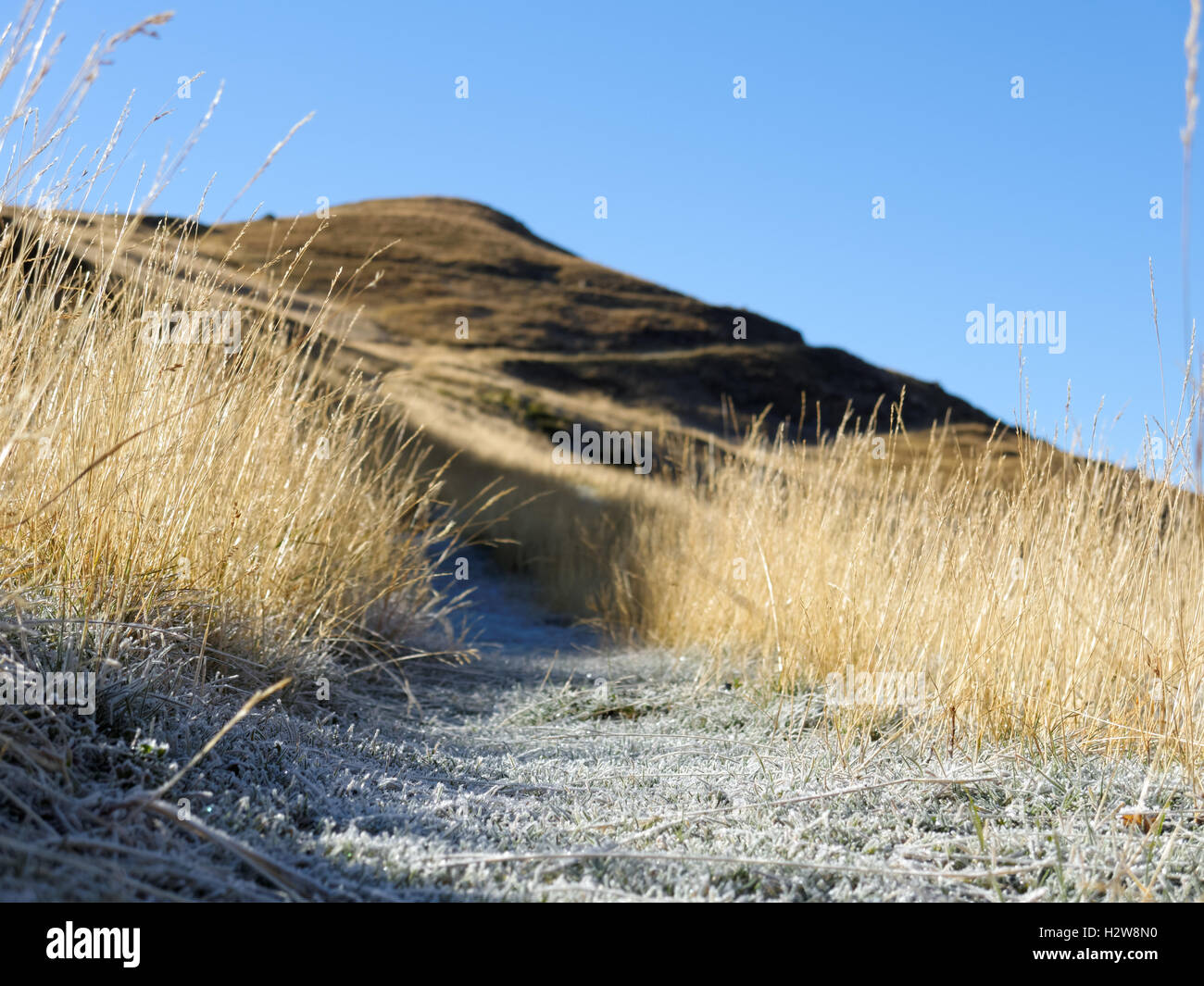 Iced hike hi-res stock photography and images - Alamy