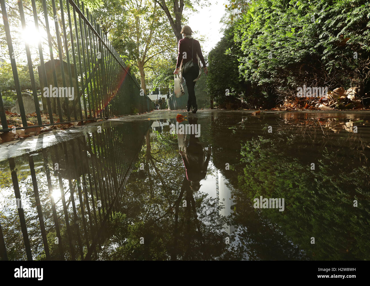 Wet fields hi-res stock photography and images - Alamy