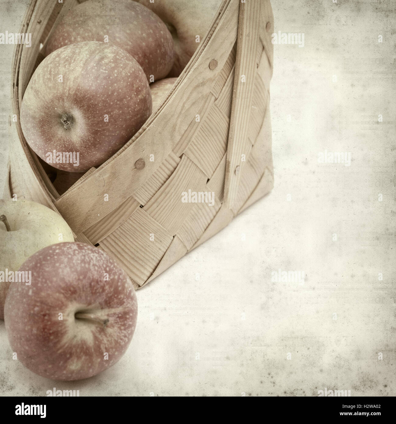 textured old paper background with red apples in a small birch bark ...