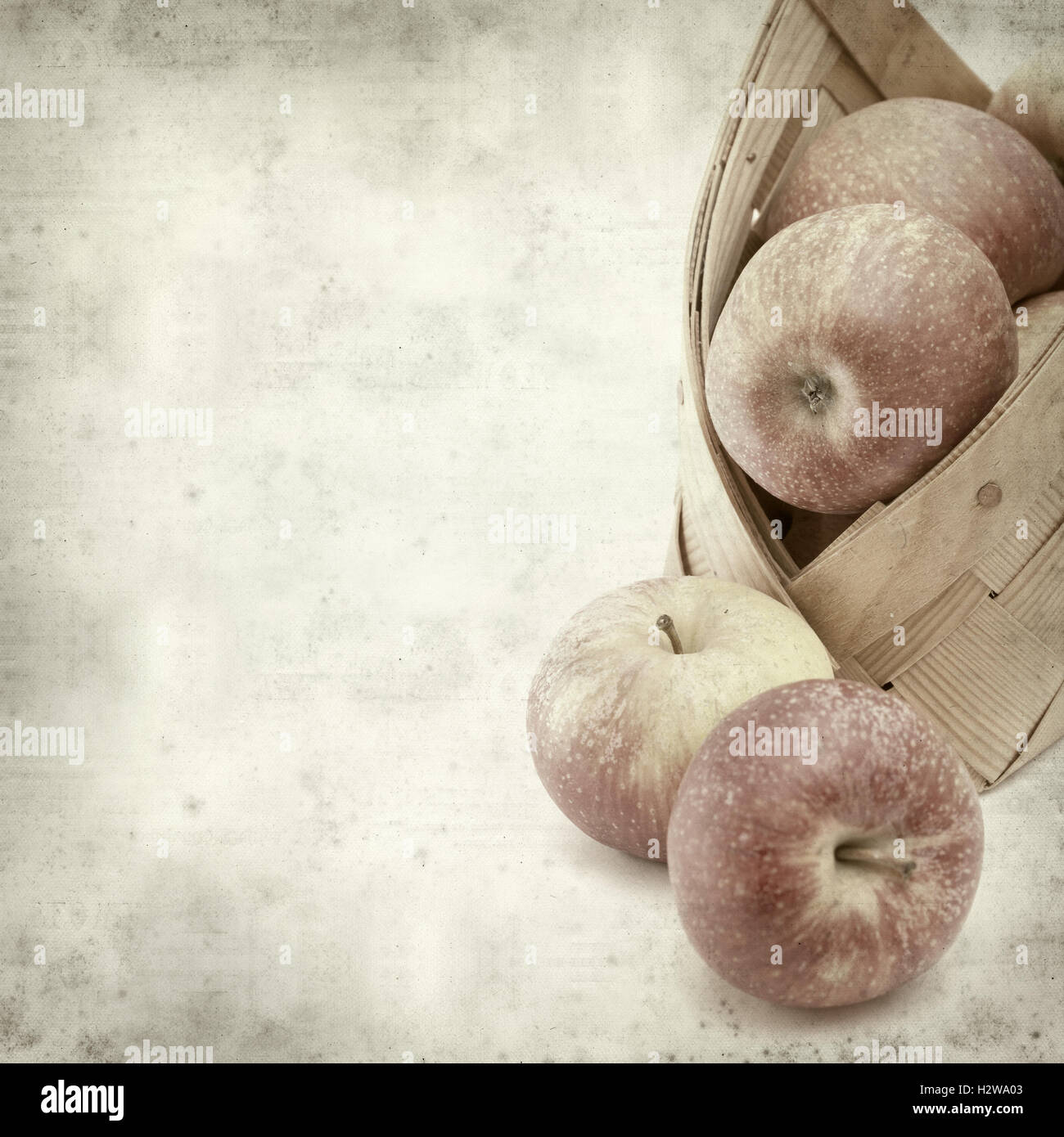 textured old paper background with red apples in a small birch bark ...