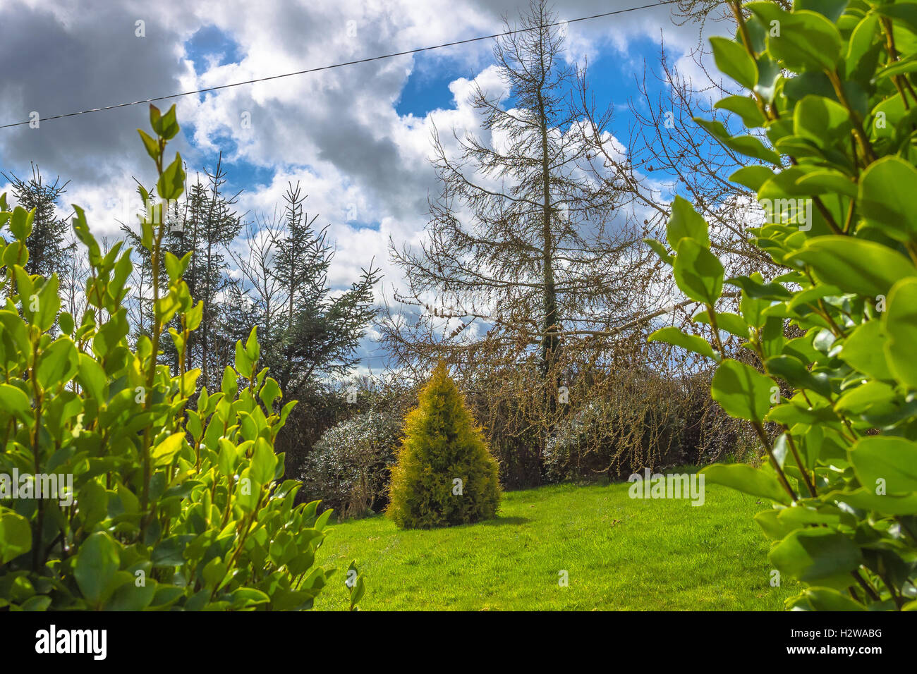 Irish backyard hi-res stock photography and images - Alamy
