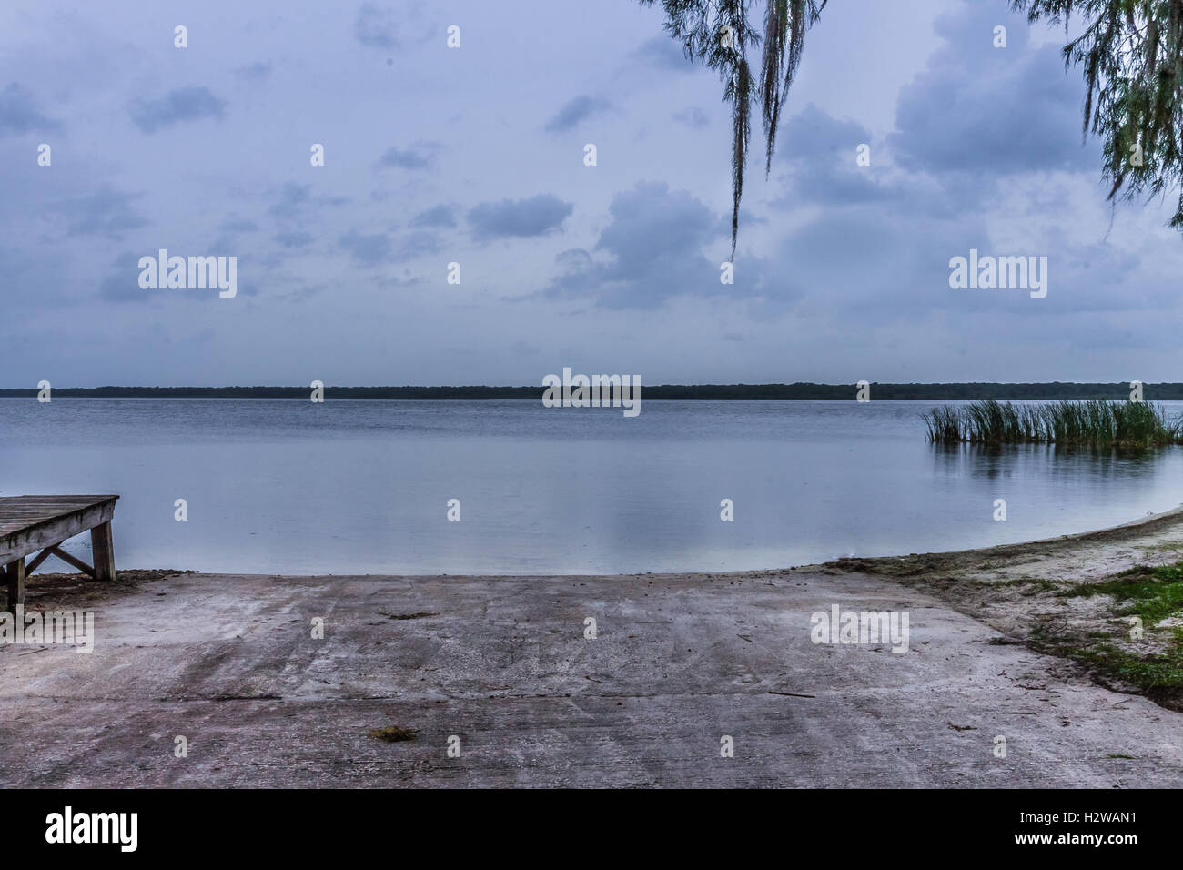 Lake Panasoffkee Fishing Boat