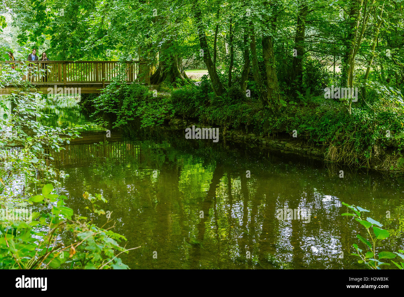 Doneraile hi-res stock photography and images - Alamy