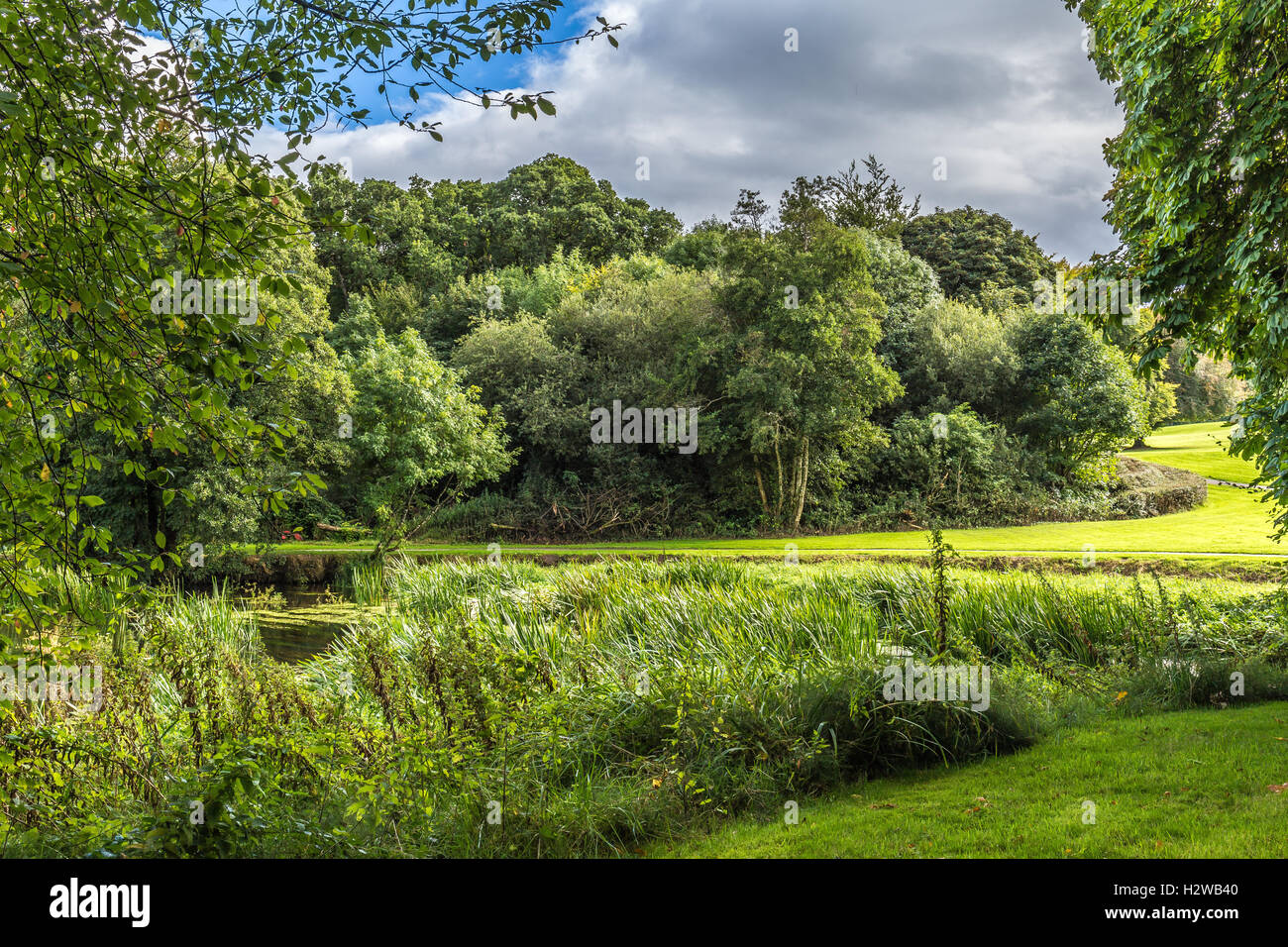 Walk in Doneraile Park Stock Photo - Alamy