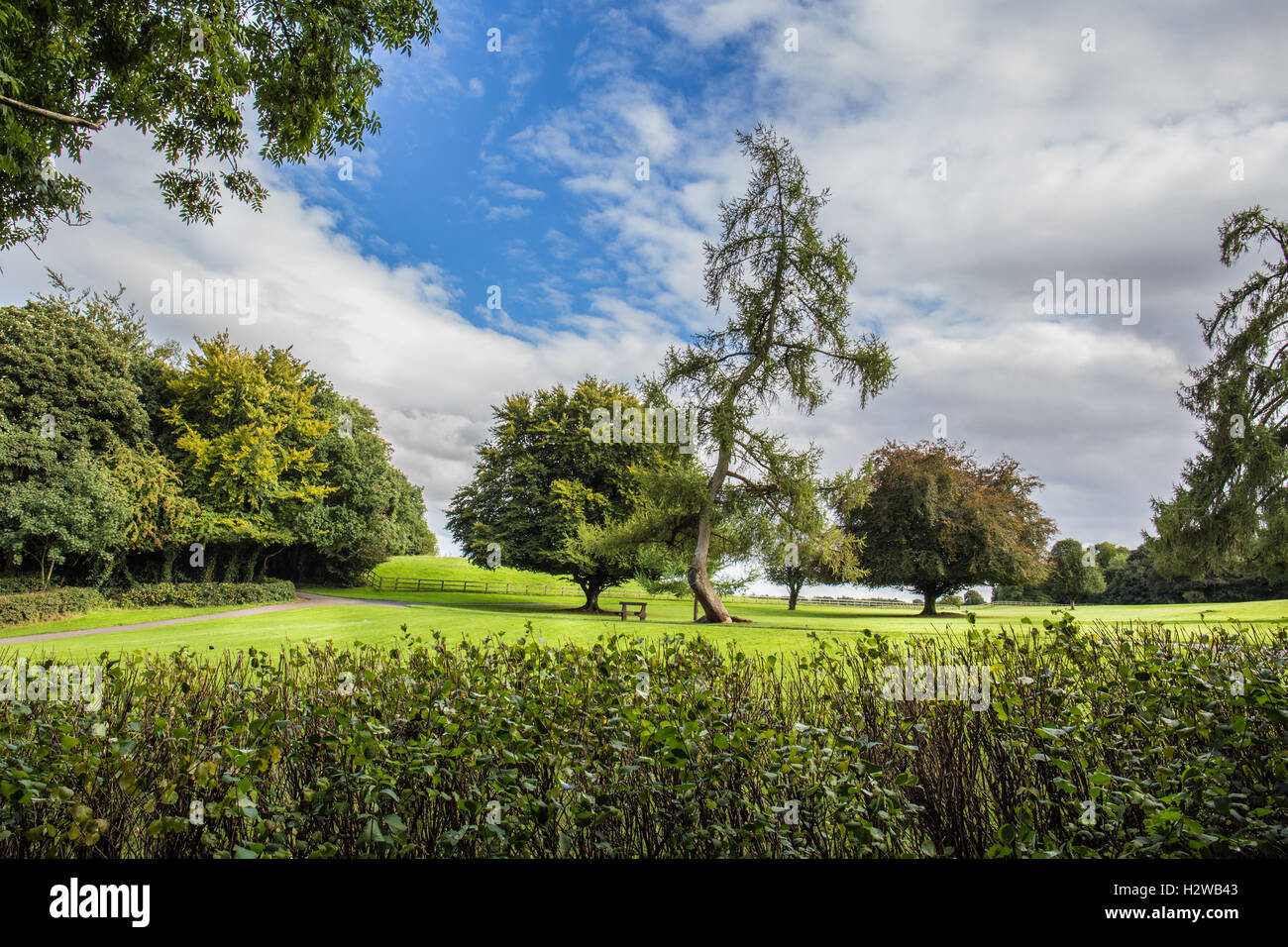 Walk in Doneraile Park Stock Photo - Alamy