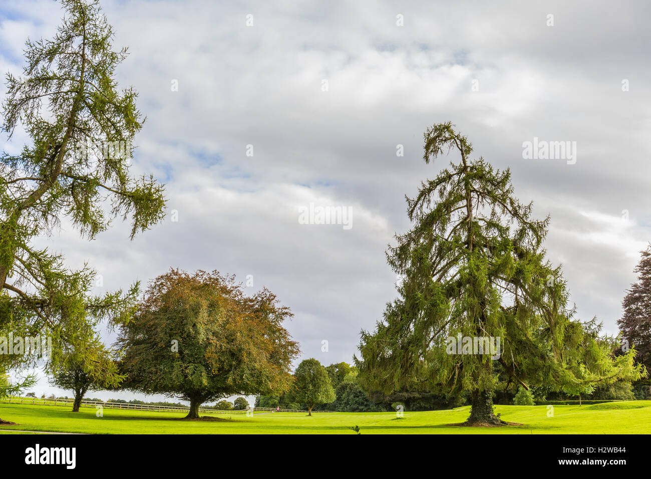 Walk in Doneraile Park Stock Photo - Alamy