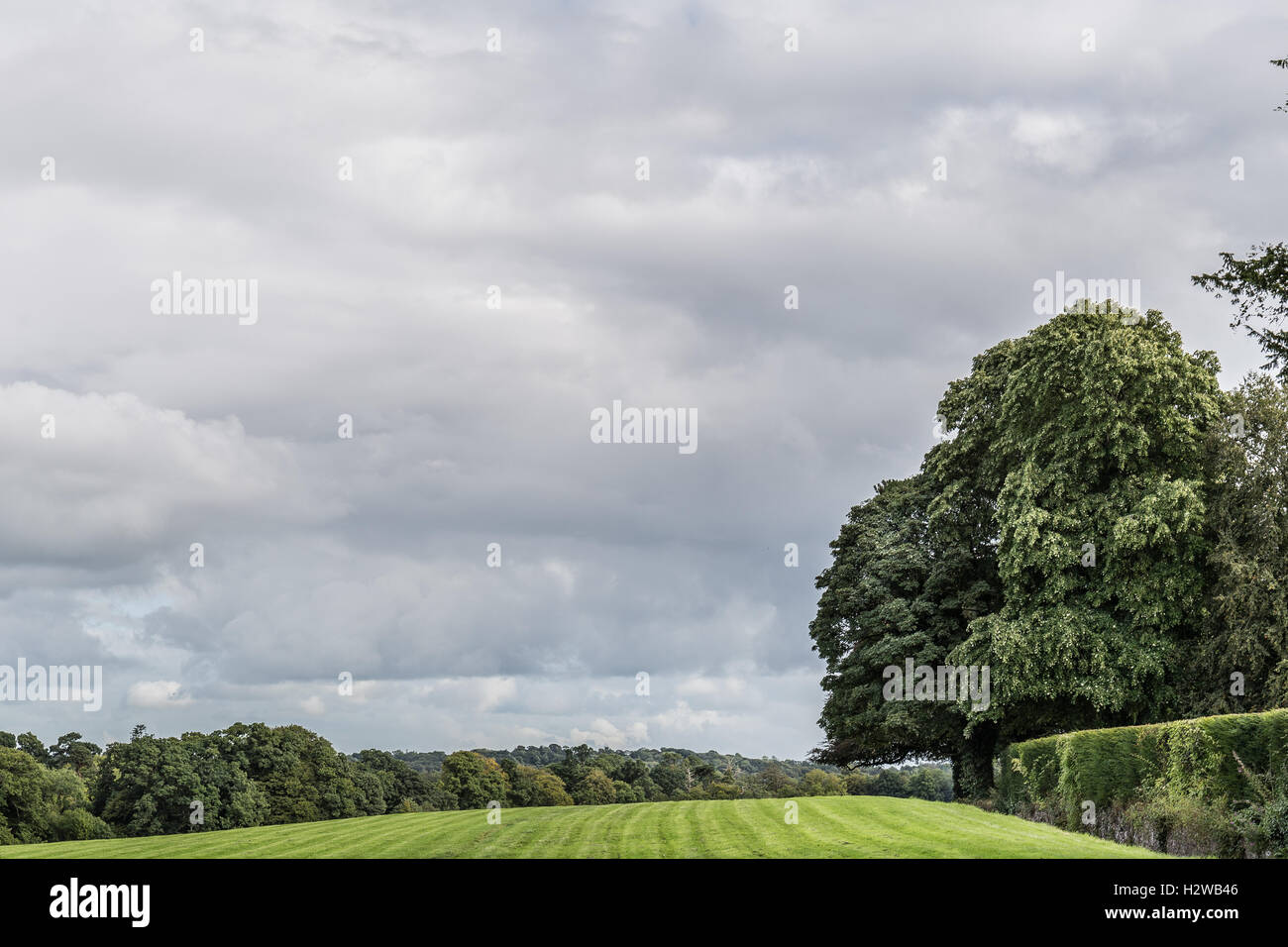 Walk in Doneraile Park Stock Photo - Alamy