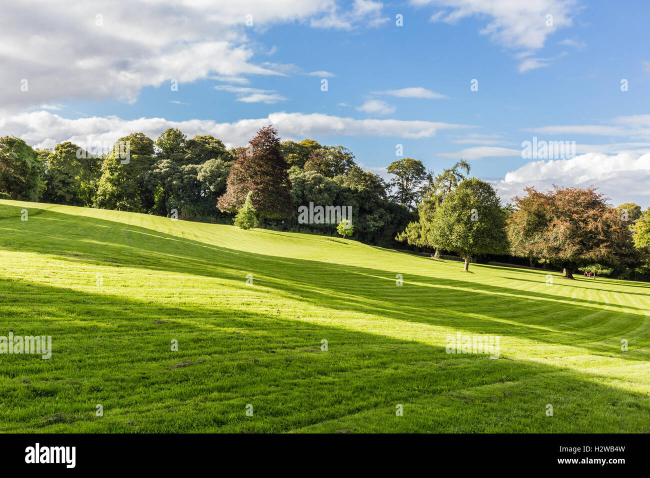 Walk in Doneraile Park Stock Photo - Alamy