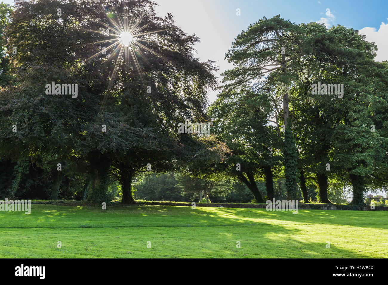 Walk in Doneraile Park Stock Photo - Alamy