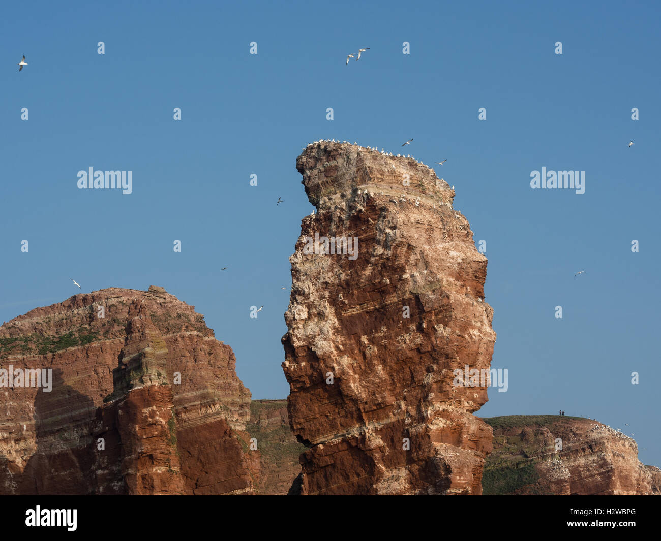 the island of helgoland in the north sea Stock Photo - Alamy