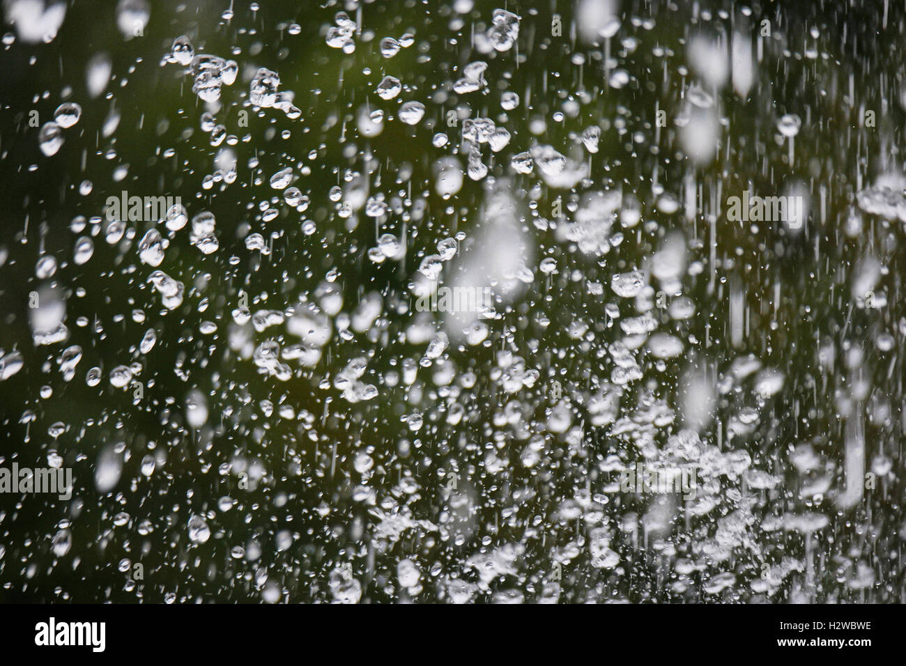 Levitation on green nature background water drops Stock Photo - Alamy