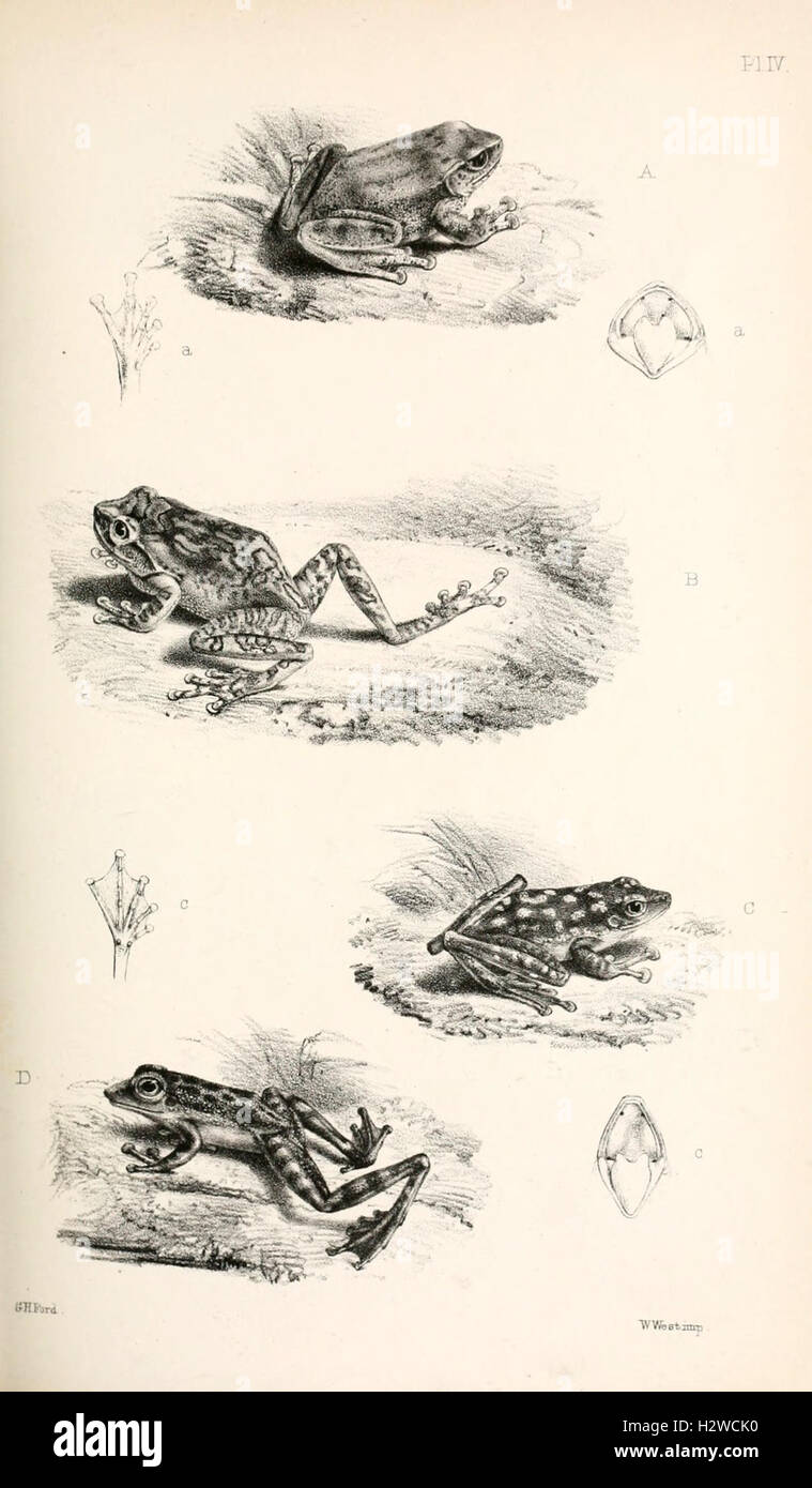 This catalogue provides an extensive listing and description of the ...