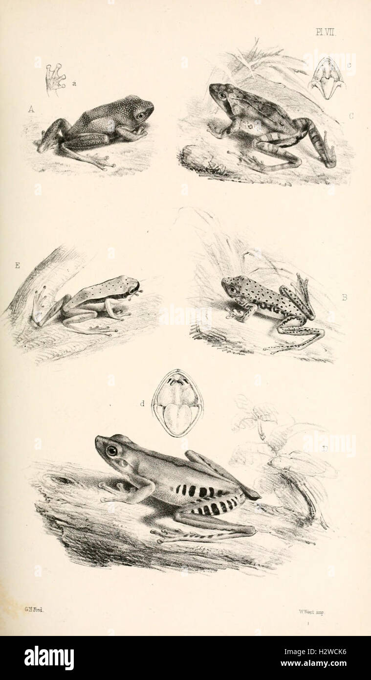 This catalog provides a comprehensive listing and description of the ...