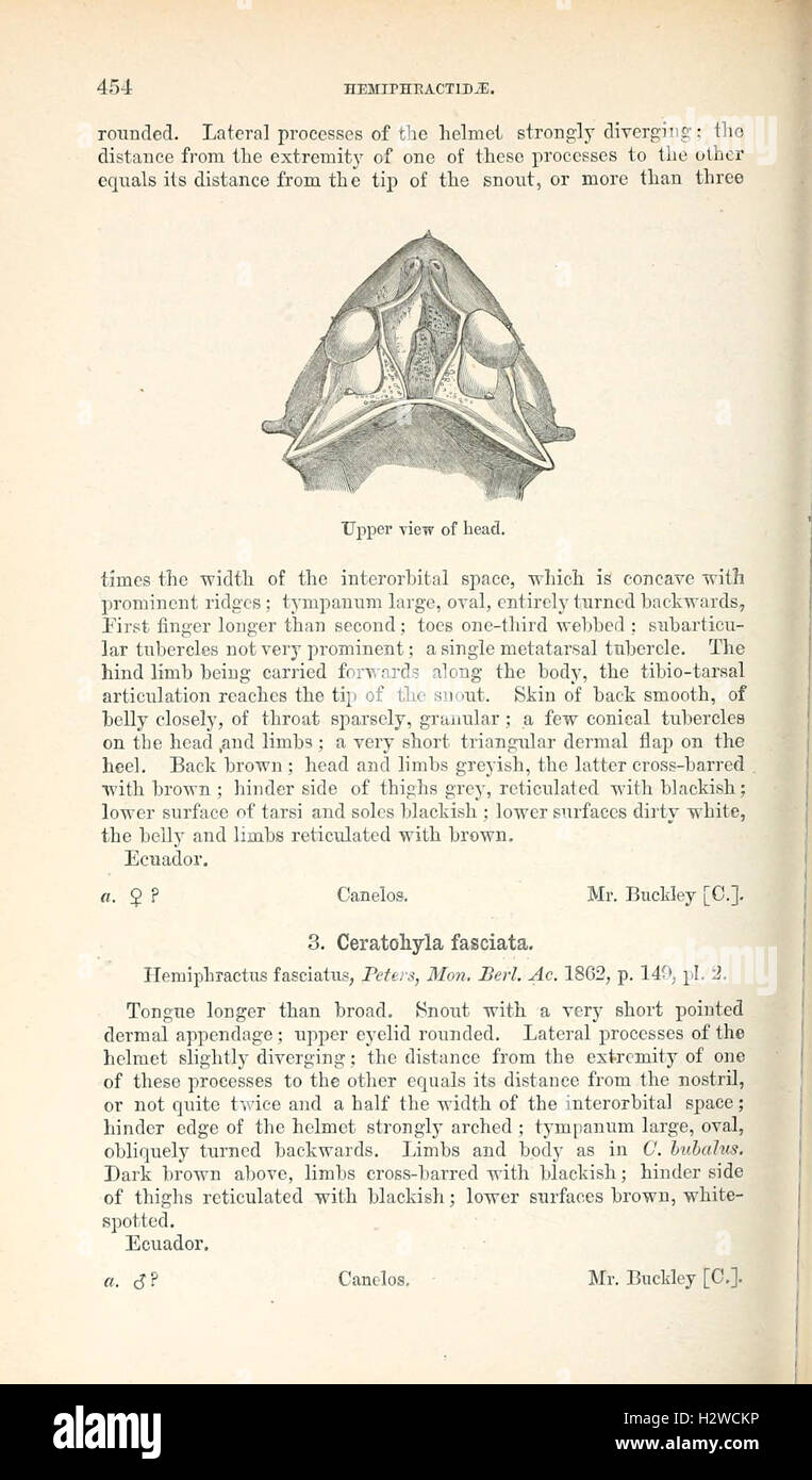 This catalogue provides a detailed list and classification of the ...