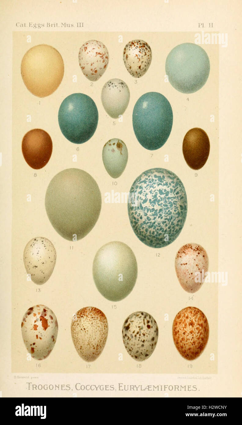 This catalogue details the extensive collection of bird eggs housed in ...