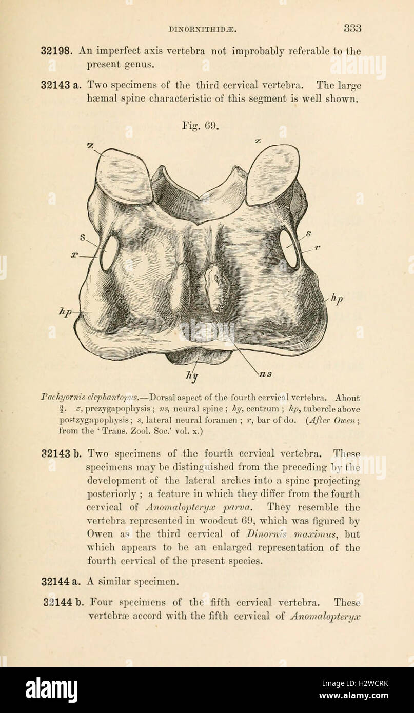 This catalogue details the fossilized remains of bird species housed in ...