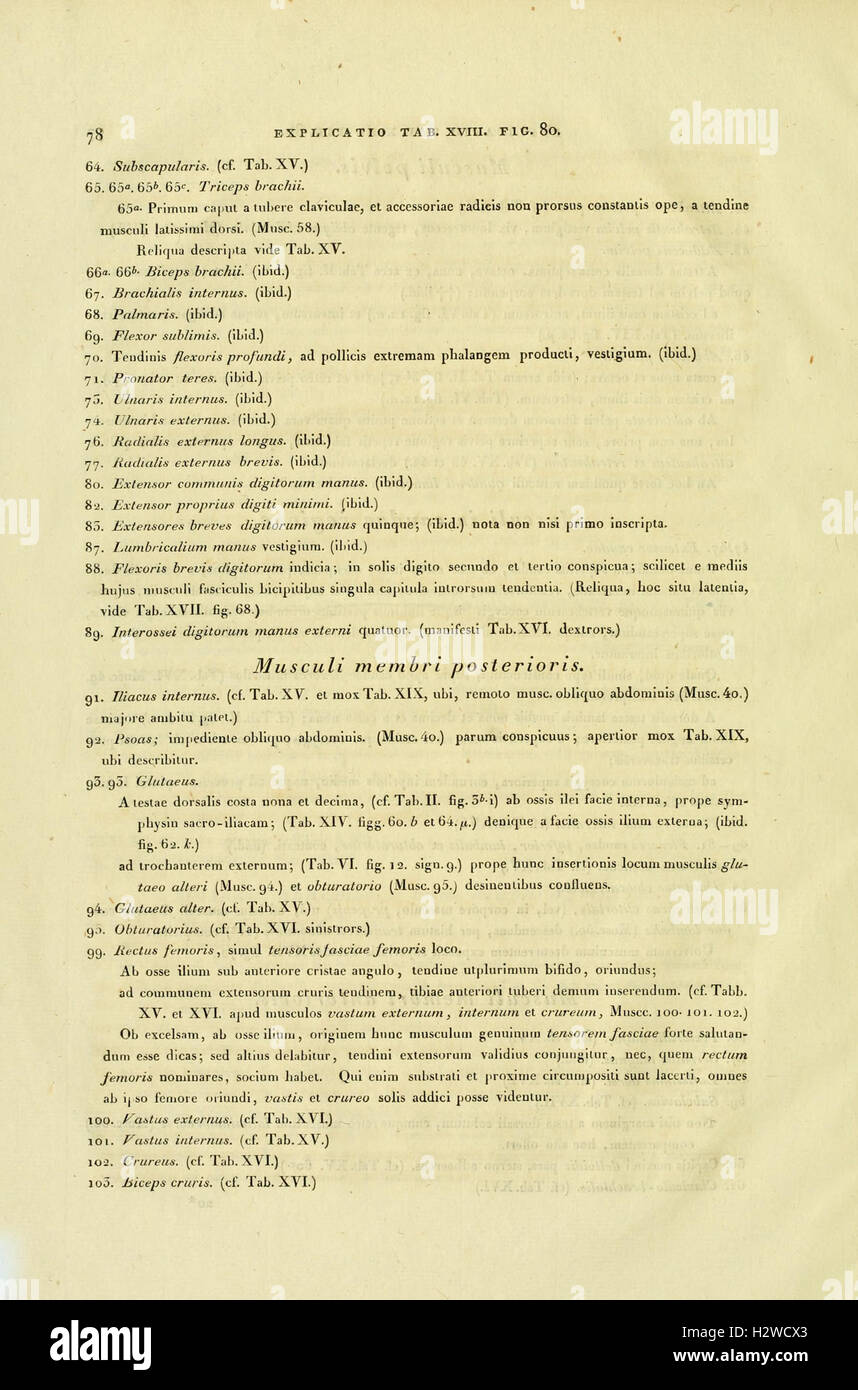 'Anatome Testudinis Europaeae' is a detailed work on the anatomy of ...