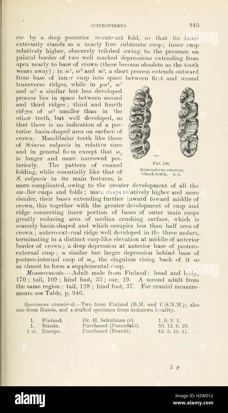 This catalogue details the mammal species of Western Europe (excluding ...