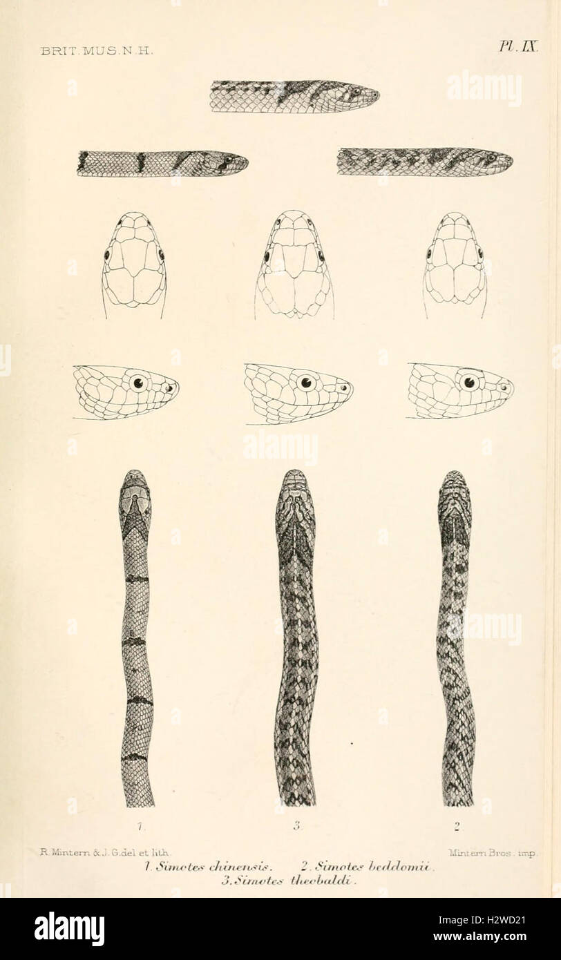 This catalogue offers a detailed list of snake species housed in a ...
