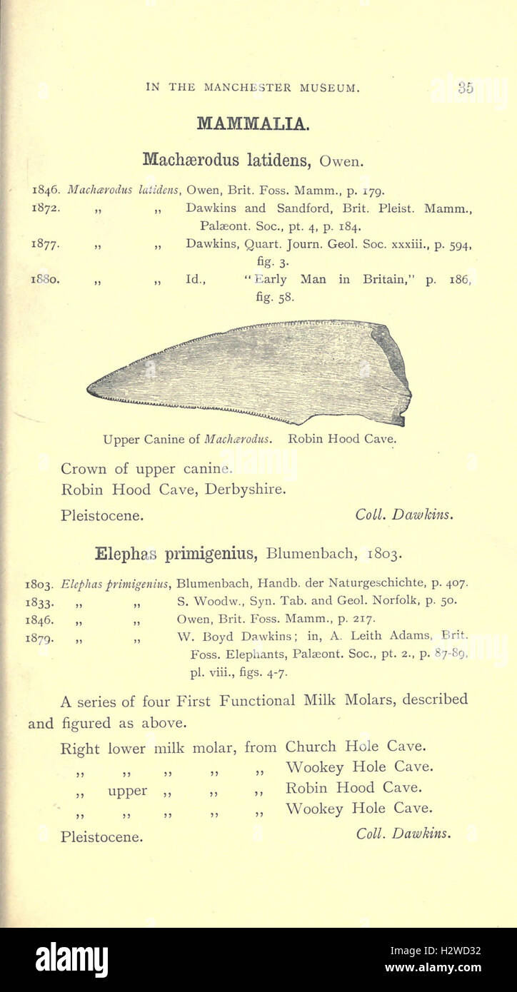 This catalogue lists the types and illustrated specimens housed in the ...