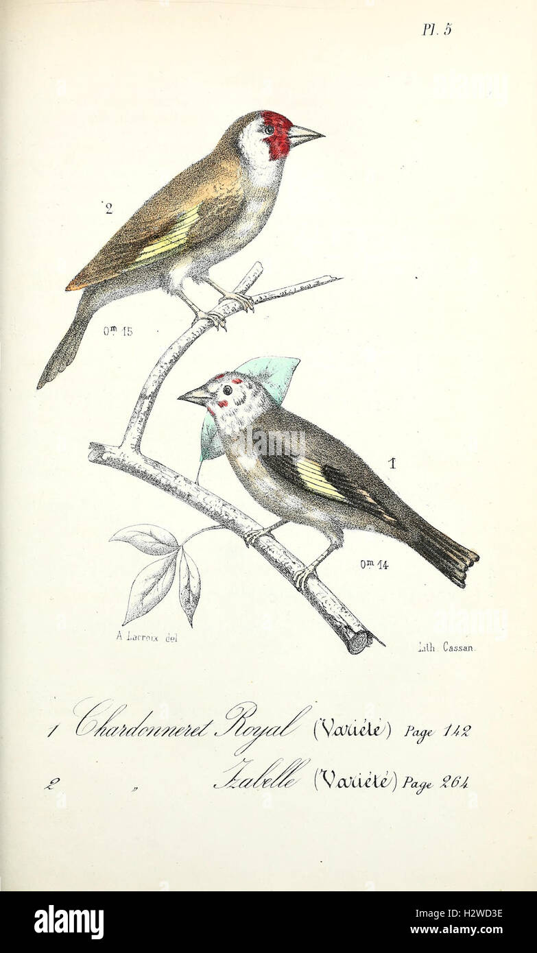 A catalog of birds observed in the French Pyrenees and surrounding ...