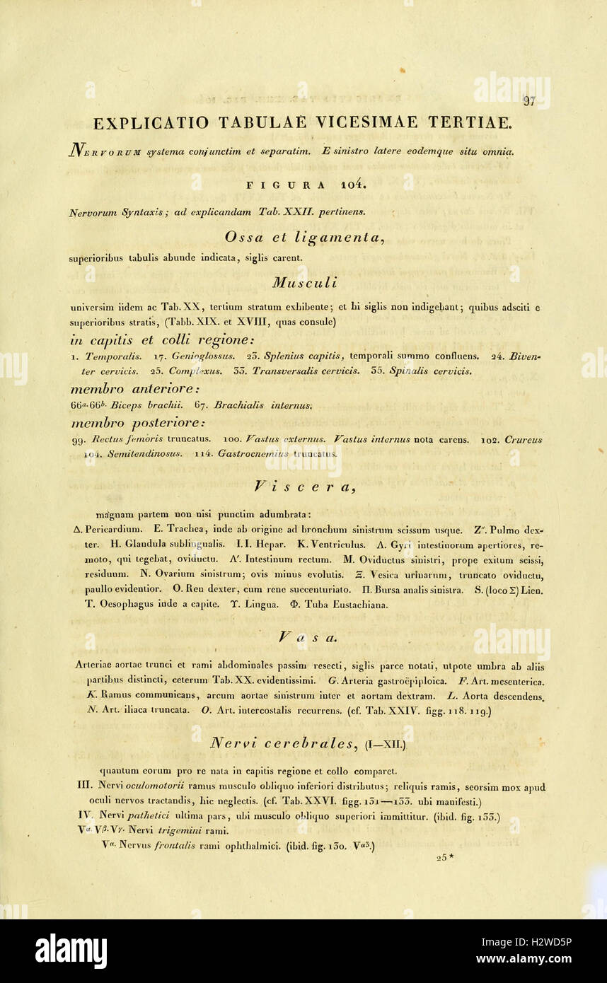 Anatome testudinis Europaeae (Page 97) BHL29 Stock Photo - Alamy