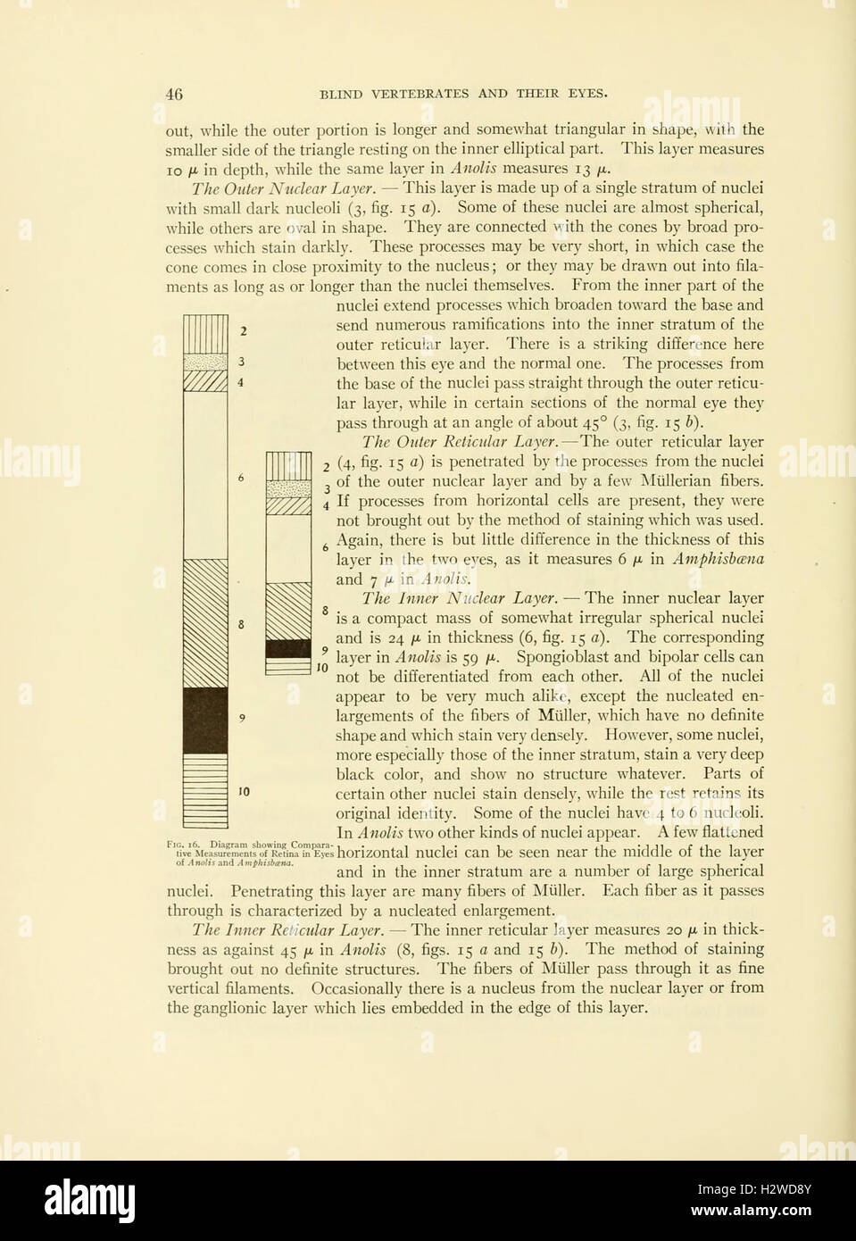 This work studies vertebrate species that inhabit cave environments in ...