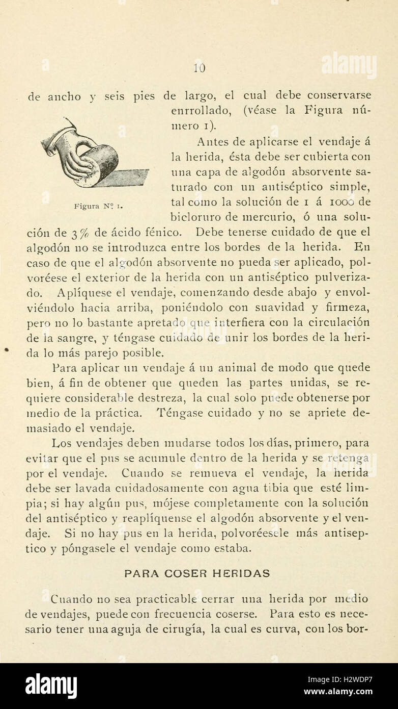 Staff circulars hi-res stock photography and images - Alamy