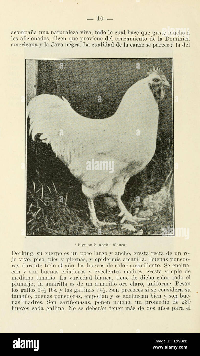 This circular provides a concise overview of recent updates or ...